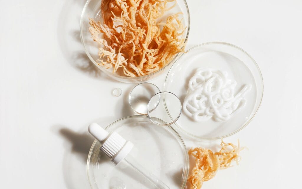 Sea Moss Benefits for Skin: Nourish & Revitalize | The Derm Spot