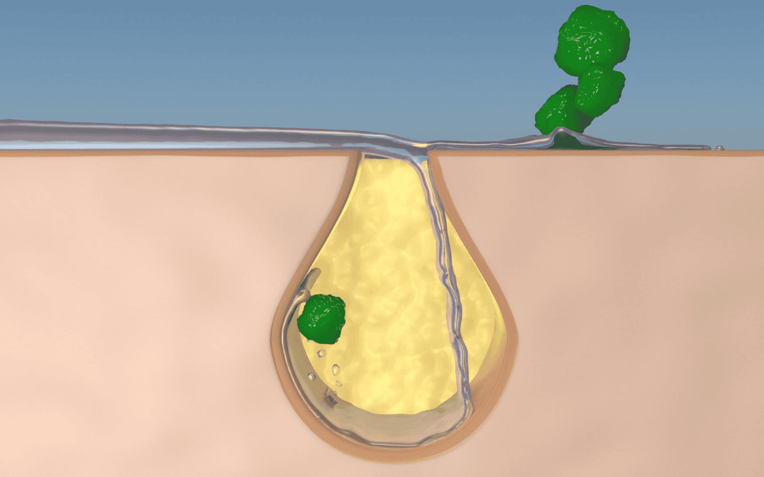 Top Pore-Clogging Ingredients to Avoid | The Derm Spot